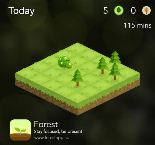 Forest: Stay Focused, Be Present - sixohthree.com